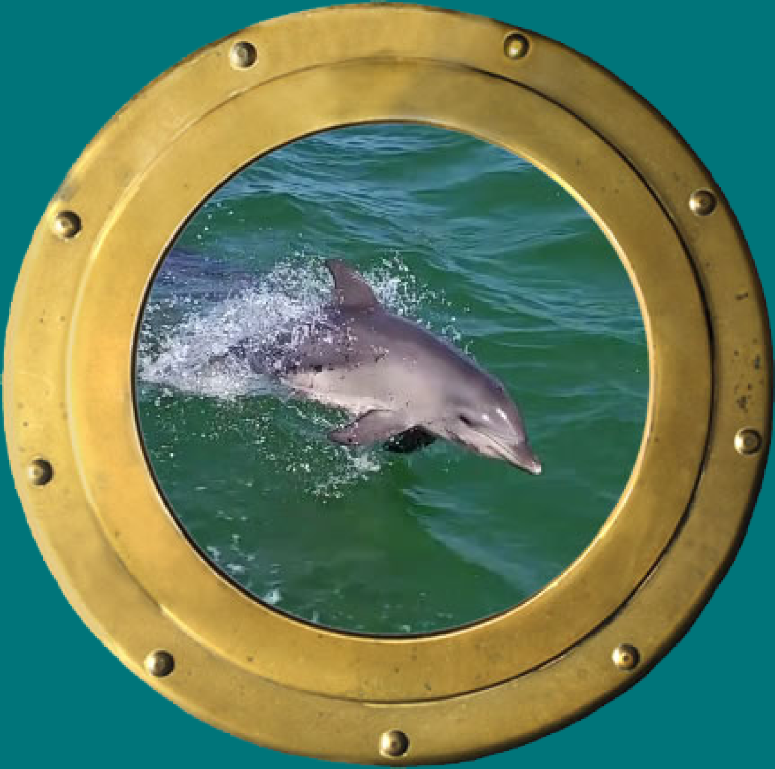 Nelson Bay Ferry – Daily ferry cruises from Tea Gardens to Nelson Bay ...